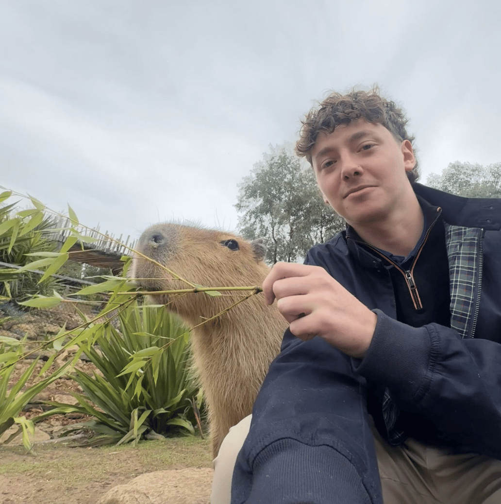 Capybara Encounter – A Capy-tivating Encounter