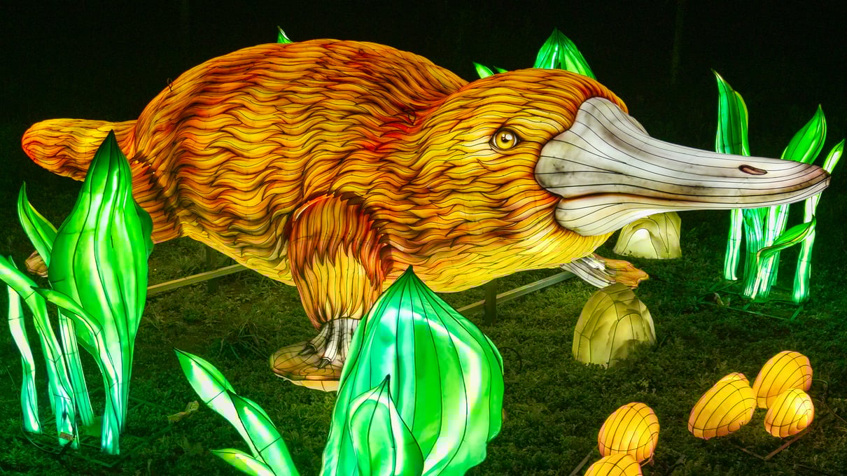 What’s New, What’s Delicious, and What You Can’t Miss!