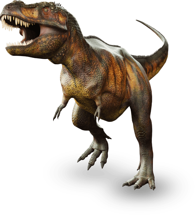 Dinosaur Safari